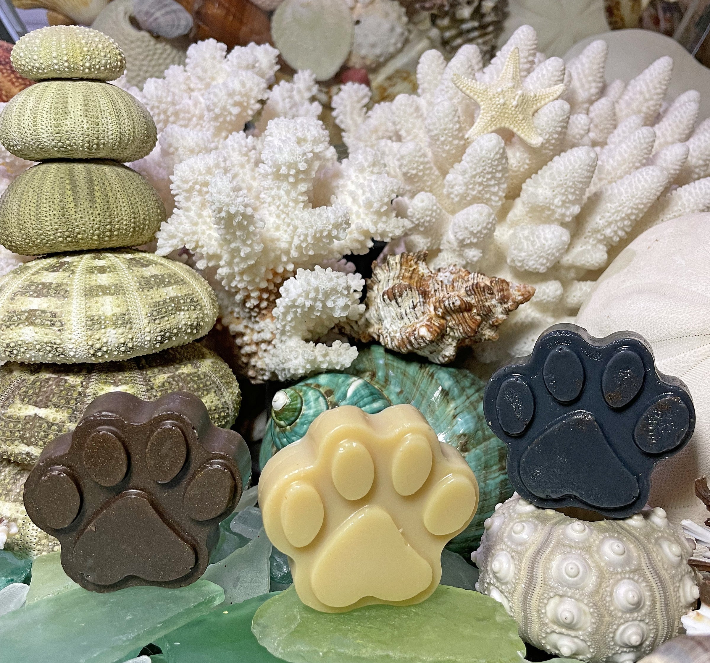 Bark Bars – Whale Tale Soapworks